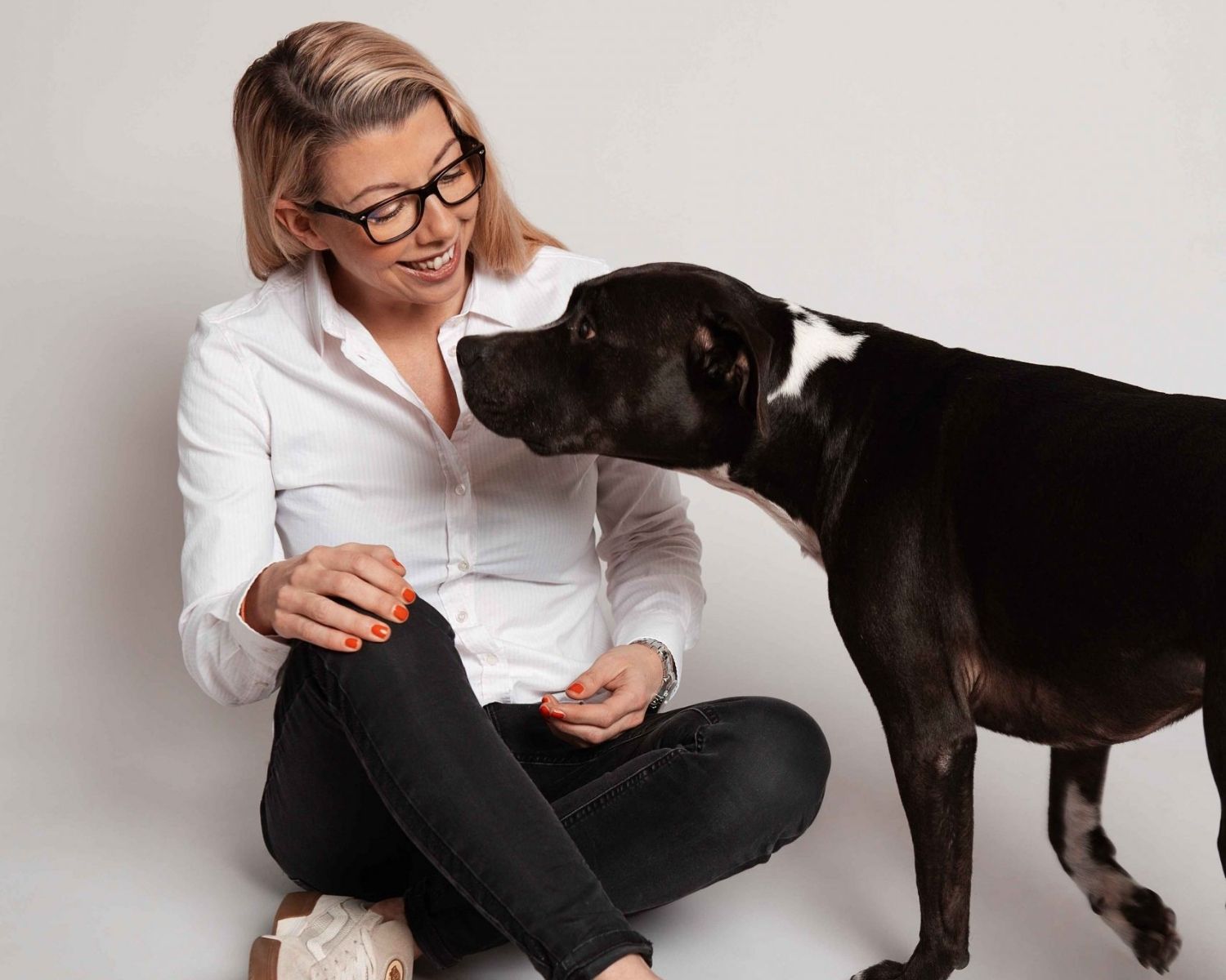 Webtalk: Der reaktive Hund | DER HUND Akademie